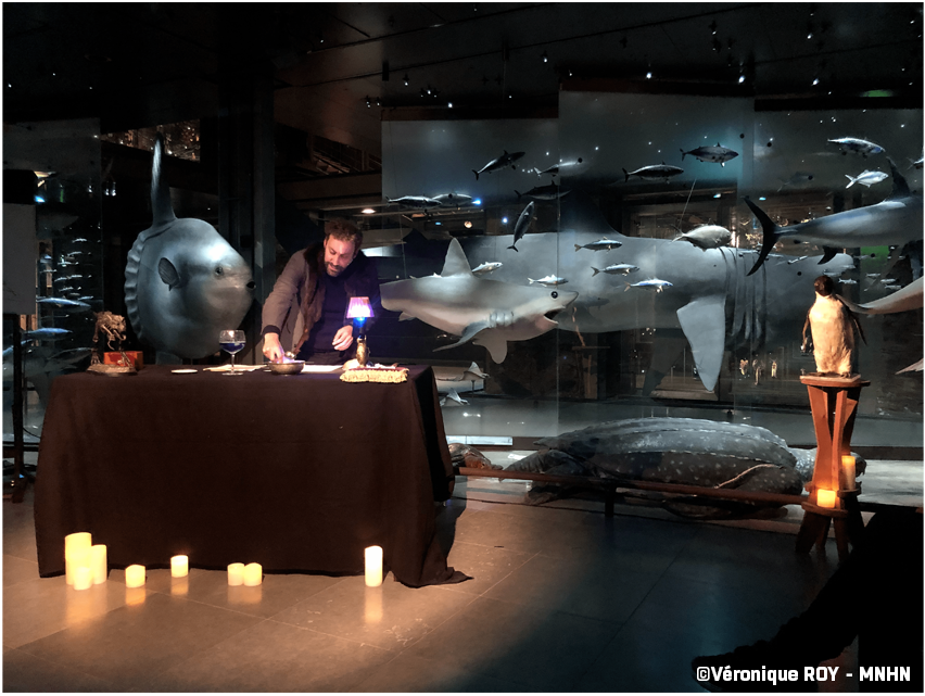 Pour en savoir plus : http://davidwahl.fr